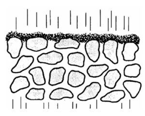 Leave a Reply Cancel reply